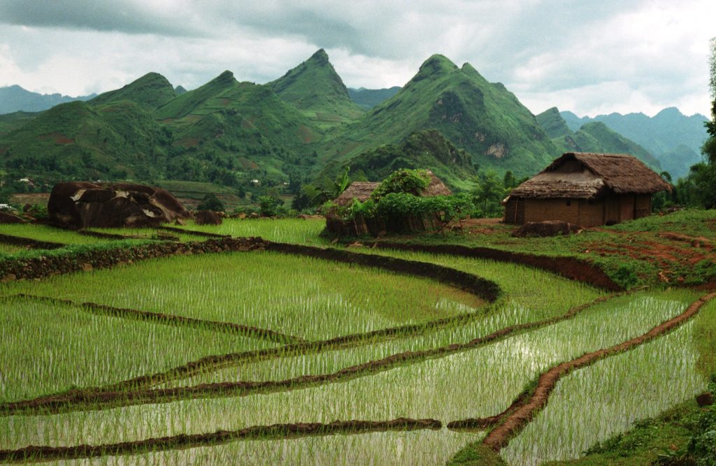 Communal Land - Open Development Vietnam